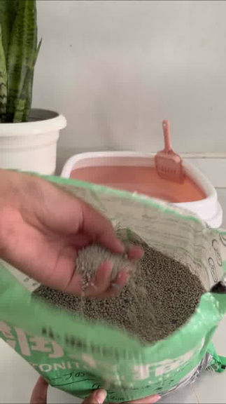 ทรายเบนโทไนท์ Dong pet |BigGoVideo