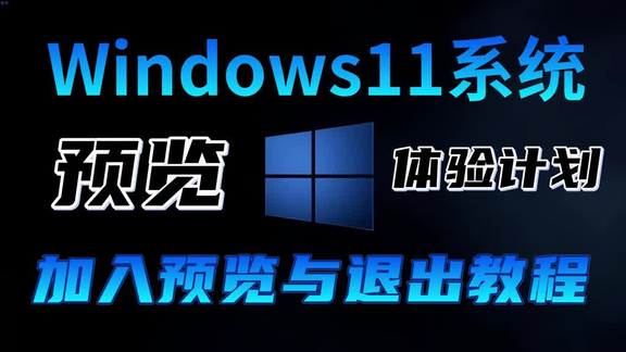 我用上了Win11 23H2，但需要加入Win|BigGoVideo