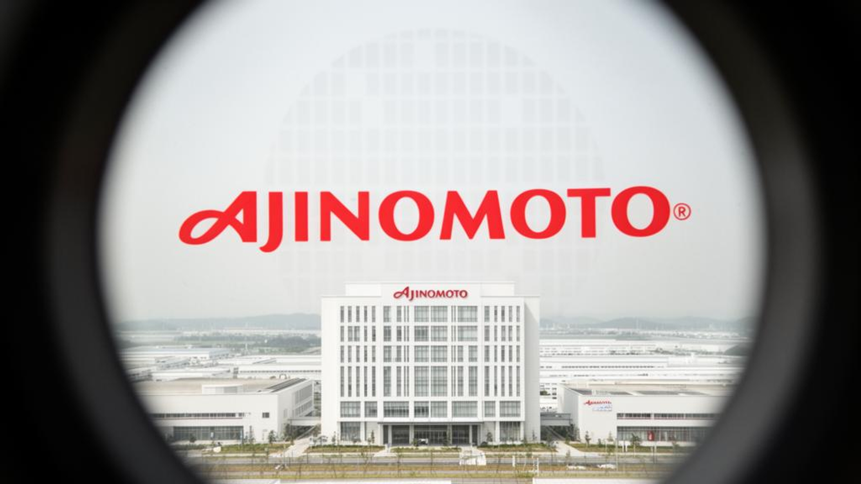 From MSG to AI Compute Chokepoint: How Ajinomoto's Century-Old Amino ...