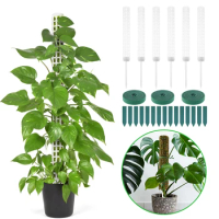 Plant Support Stick ถูกที่สุด พร้อมโปรโมชั่น ก.พ. 2025 | BigGoเช็คราคาง่ายๆ