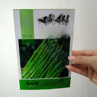 Harga asparagus Terbaru Jul 2025 | BigGo Indonesia
