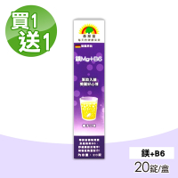 SUNLIFE森萊富 鎂 B6發泡錠的價格推薦 - 2025年3月 | 比價比個夠BigGo