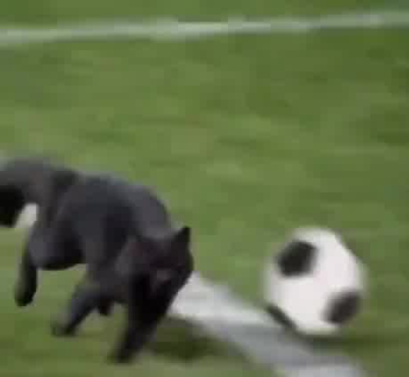 Genius Soccer player|BigGo