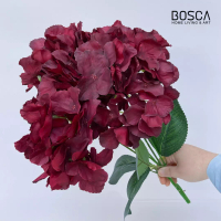 Harga Bunga Jumbo Tinggi Terbaru Sep 2024 |BigGo Indonesia