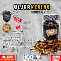 Harga progresnya Terbaru Apr 2025 | BigGo Indonesia