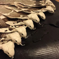 0snake ถูกที่สุด พร้อมโปรโมชั่น ธ.ค. 2024|BigGoเช็คราคาง่ายๆ