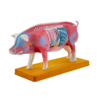 PIG Model ถูกที่สุด พร้อมโปรโมชั่น ต.ค. 2024|BigGoเช็คราคาง่ายๆ