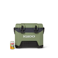 igloo bmx的價格推薦 - 2025年7月 | 比價比個夠BigGo