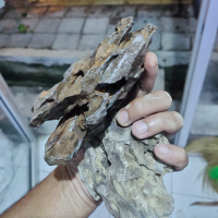 Harga Dragon Stone Batu Aquascape Terbaru Jun 2026 | BigGo Indonesia