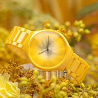 rado thinline的價格推薦 - 2025年12月 | 比價比個夠BigGo